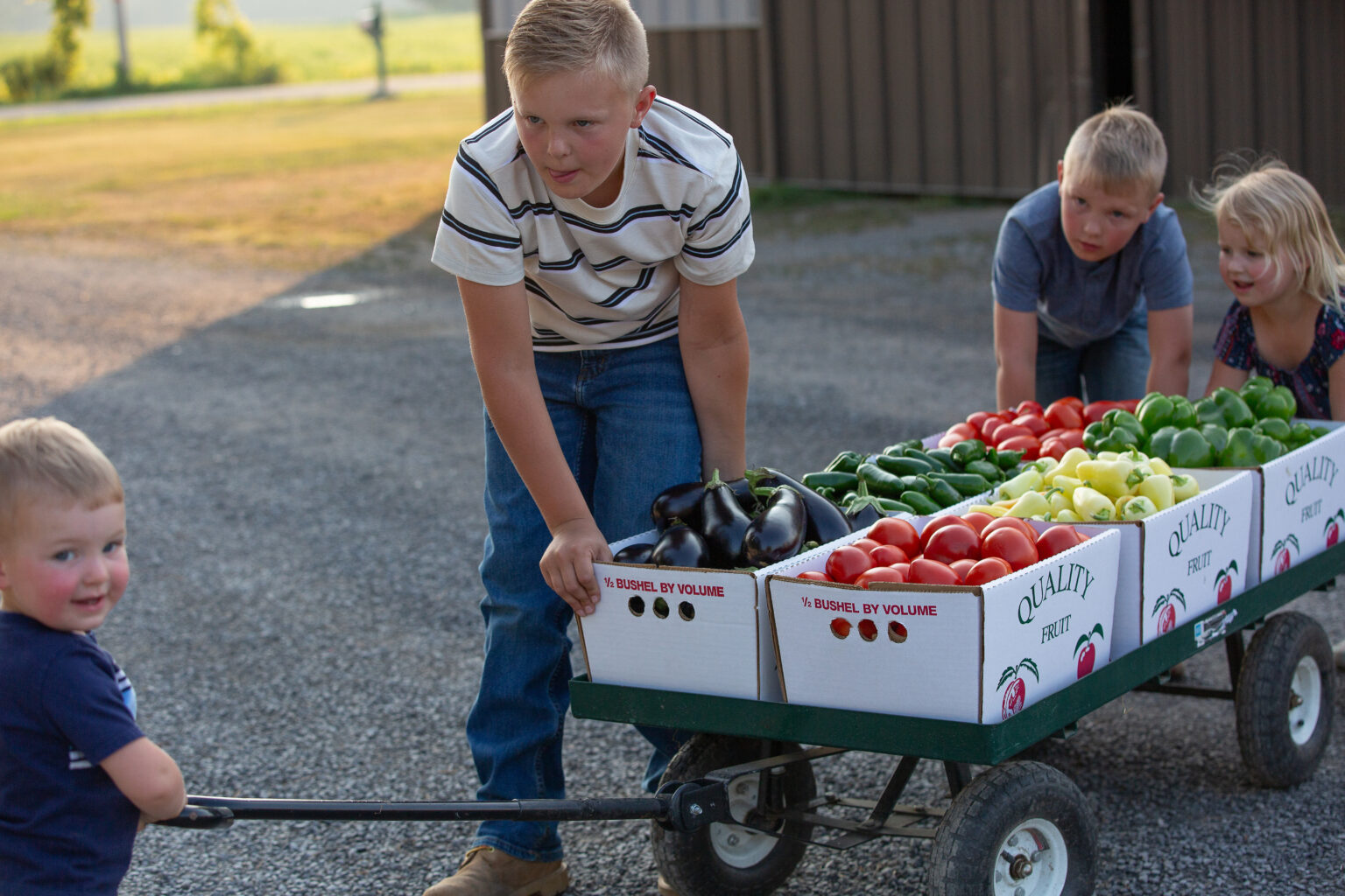 The Heart of the Harvest: Family Farms of the Mohawk Valley - Mohawk ...